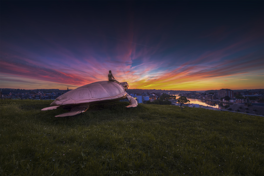 Golden Turtle - hdrcreme