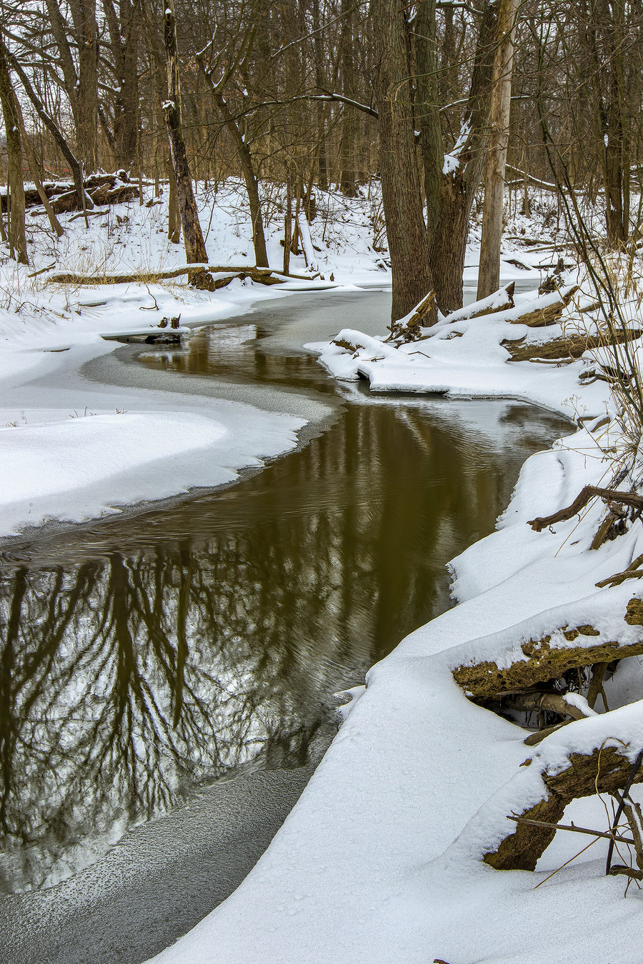 Winter Thaw - hdrcreme